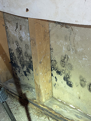 Mold / Air Quality Testing - Home Check RI